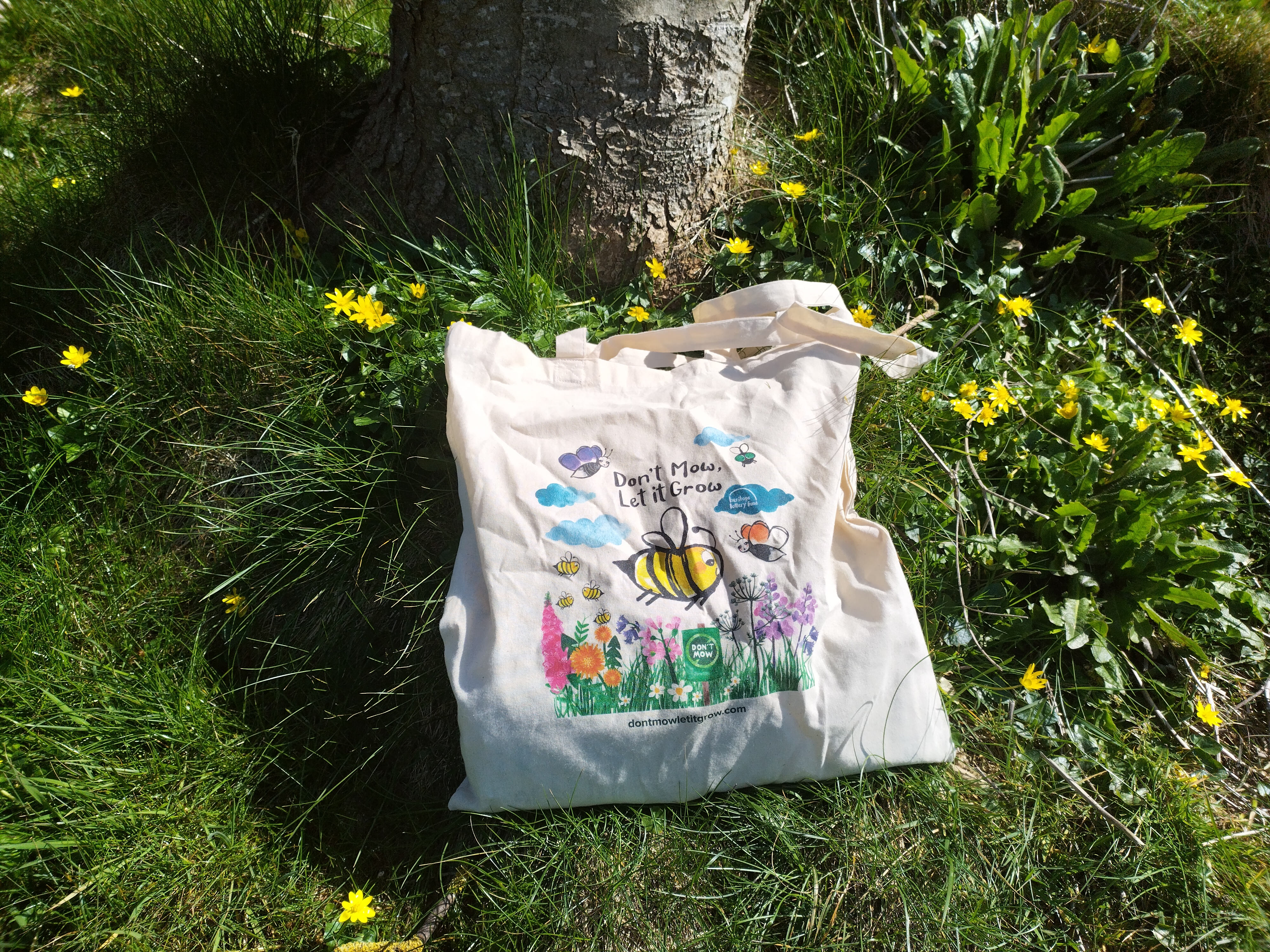 St Bees Green Future – a Sustainability Group | Sustainable St Bees