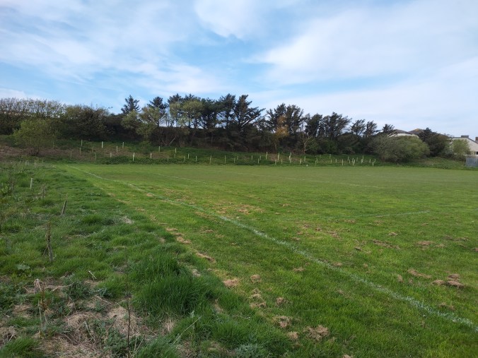 Tree Planting at Adams Recreation Ground | Sustainable St Bees
