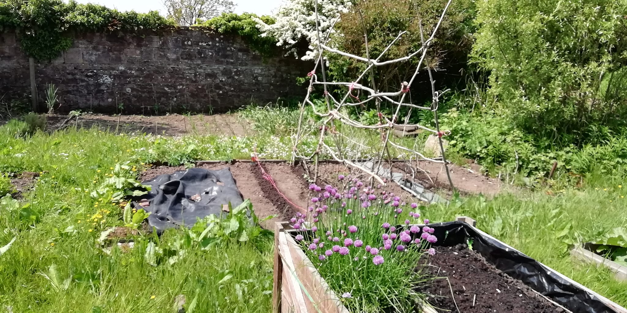 St Bees Community Garden | Sustainable St Bees